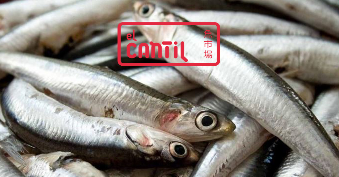 Boquerones en verano - Pescaderia EL CANTIL